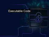 What Is Executable Code Understanding Executable Files